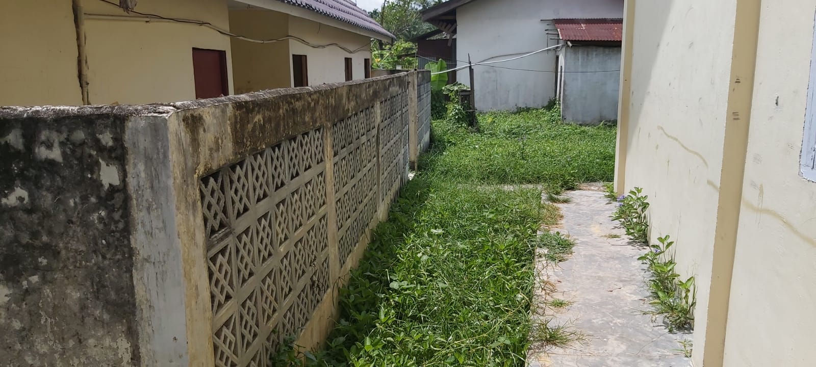 Perkarangan Sekolah SDN 39 Mandau Semak dan Kumuh Kepsek Sibuk - Pirnas ...